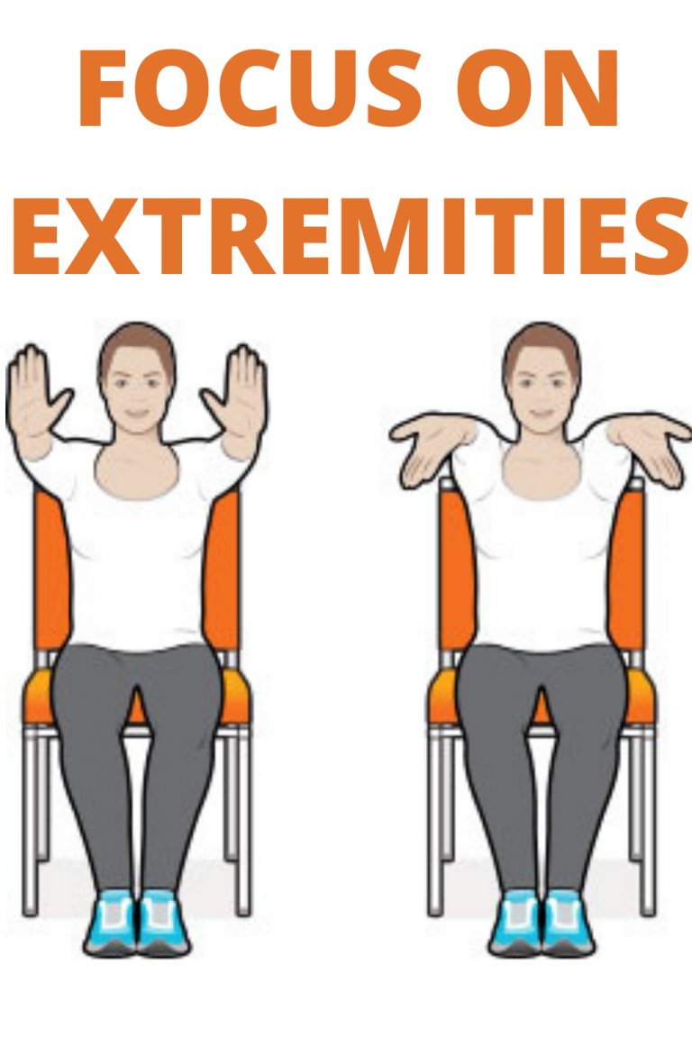 8 Exercise Moves You Can Do in Your Chair - The Best Media