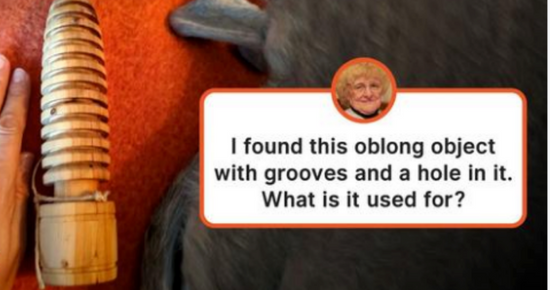 People Delve into the Purpose of Everyday Objects and Discover ...