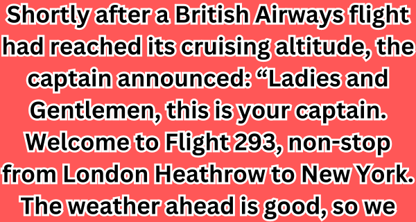 In-Flight Comedy: Pilot Announces, and the Witty Passenger at the Back ...