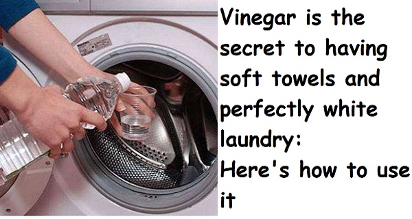 Unlocking the Power of Vinegar: A Guide to Thoroughly Cleaning Your ...