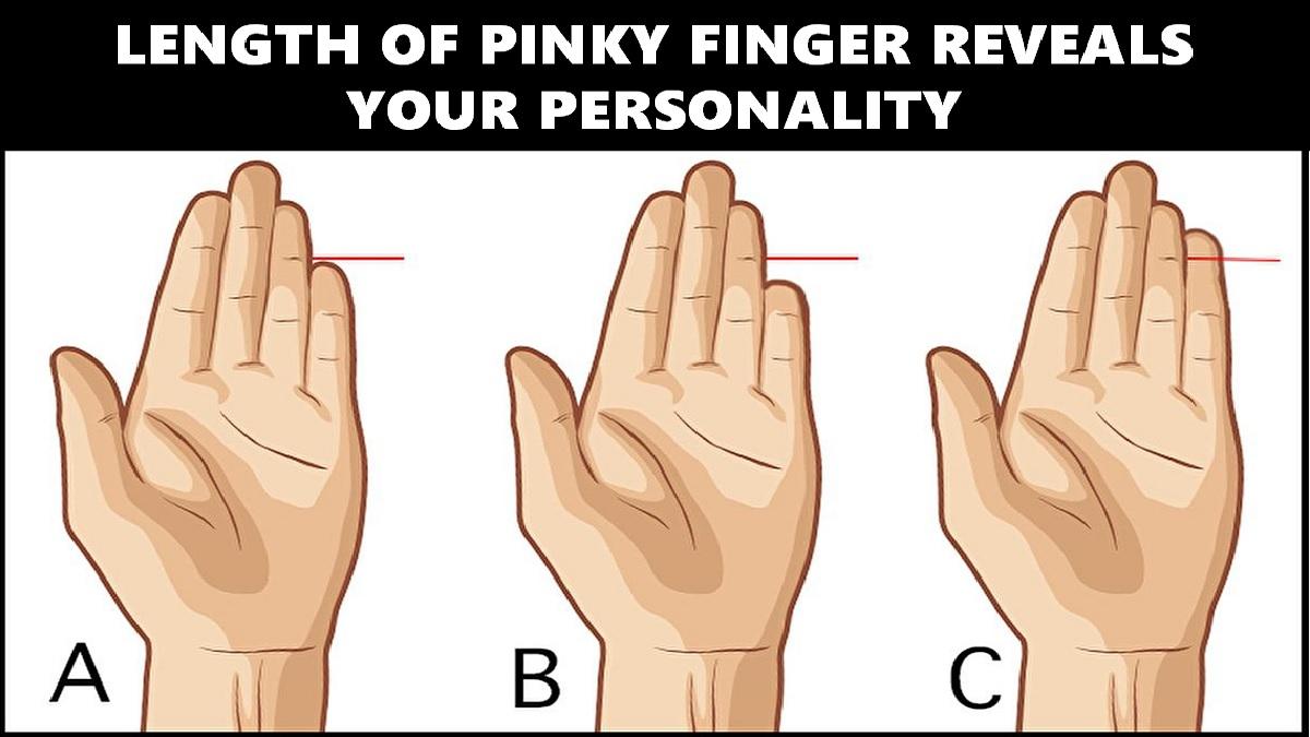 The Surprising Link Between Finger Length and Personality Traits - The ...