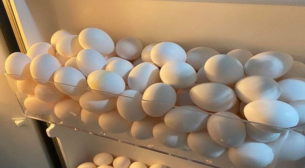 A Comprehensive Guide to Egg Freshness and Storage in the Refrigerator ...