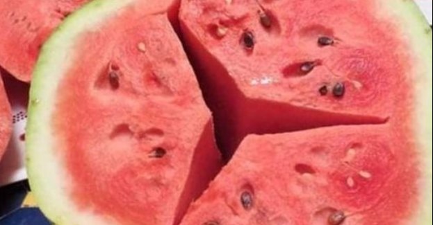 If Your Watermelon Has These Cracks Inside, Do Not Eat It! - The Best Media