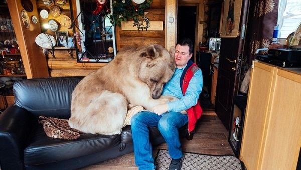 Two Decades Together: The Unlikely Bond Between Man and Bear - The Best ...