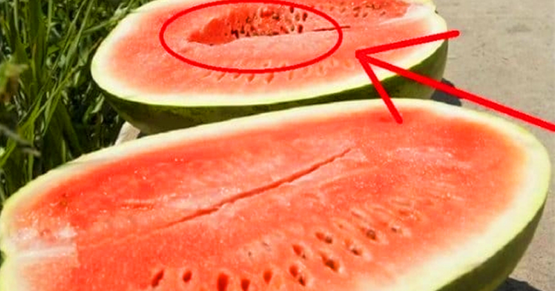 If Your Watermelon Has These Cracks Inside, Do Not Eat It! - The Best Media